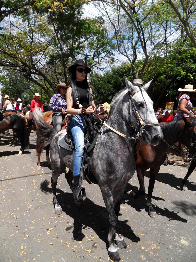 Neiva Huila Colombia: FOTOS CABALLOS CABALGATA DE MUJERES