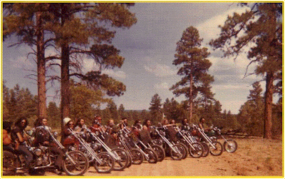 LoseRRuleS: Since 1960