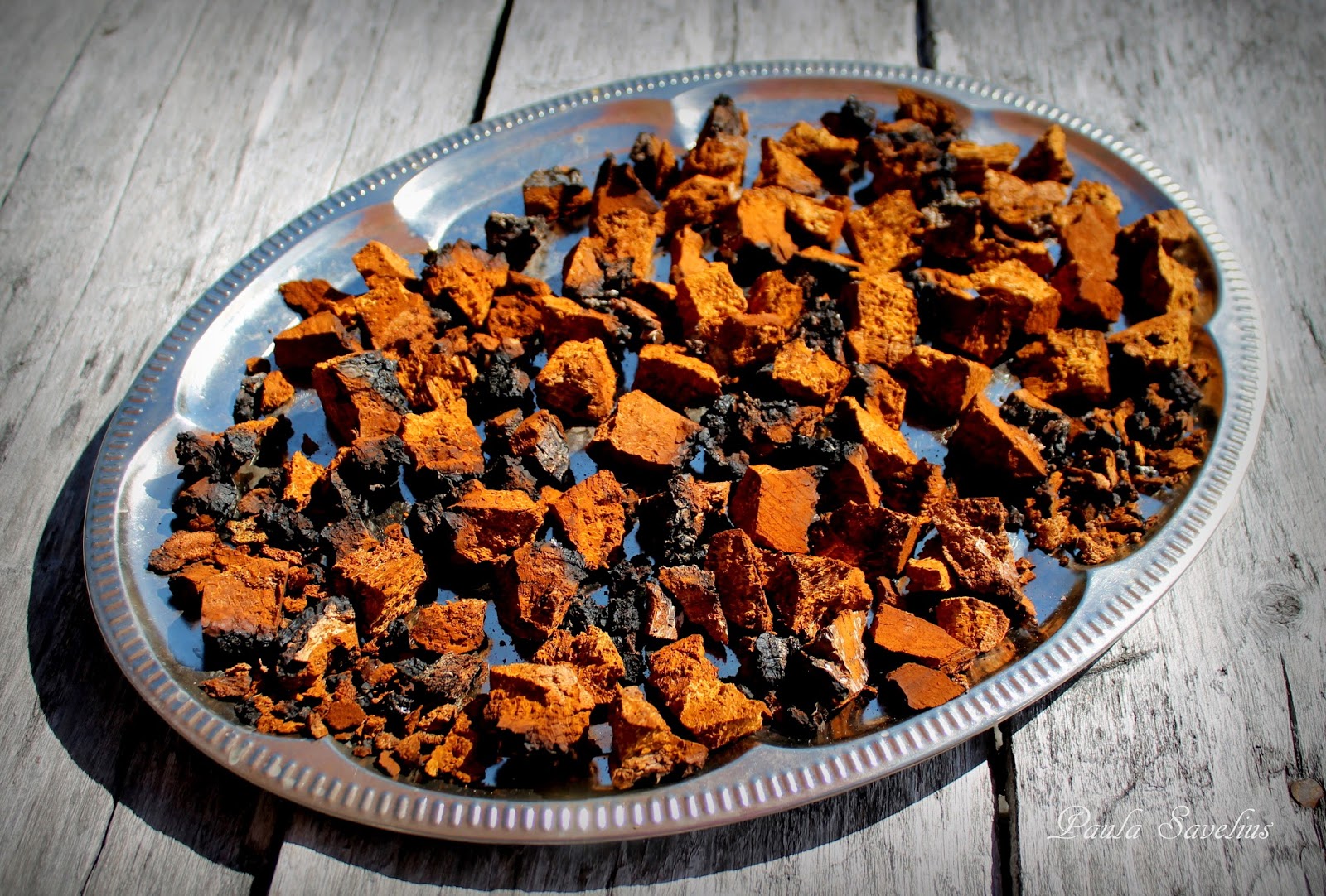 Näitä polkuja tallaan: Pakurikääpä