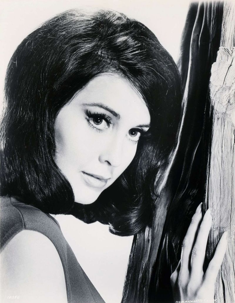 Film Noir Photos: The Eyes Have It: Anjanette Comer