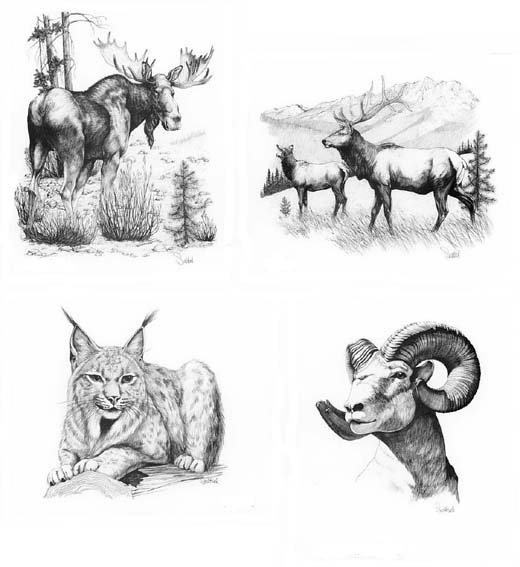 Art by Saltiel: B&W Prints