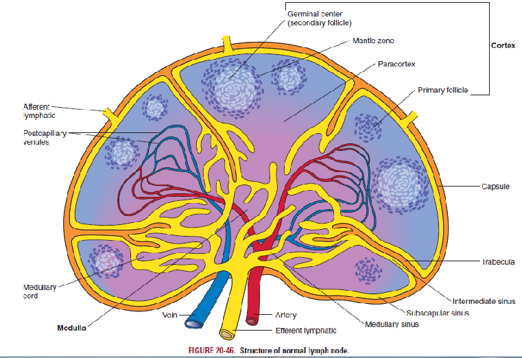 COMISIÓN DE PATOLOGIA B 2014