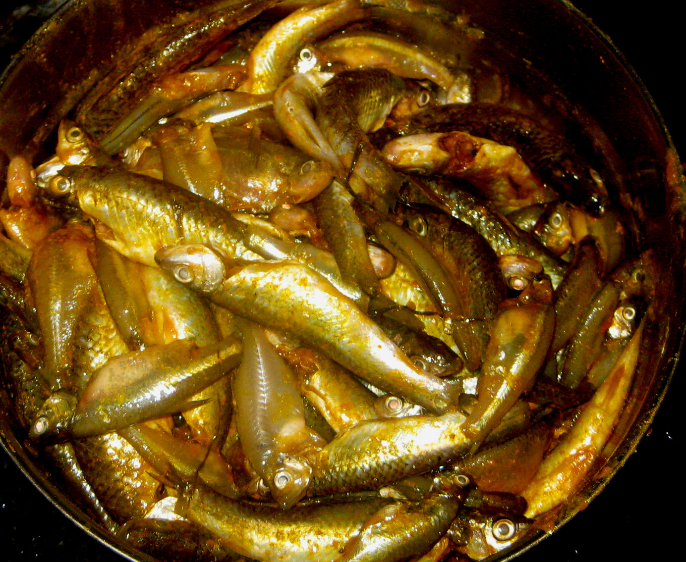 Odisha Cuisine: Small Fishes Fry (Pohala Macha Bhaja)
