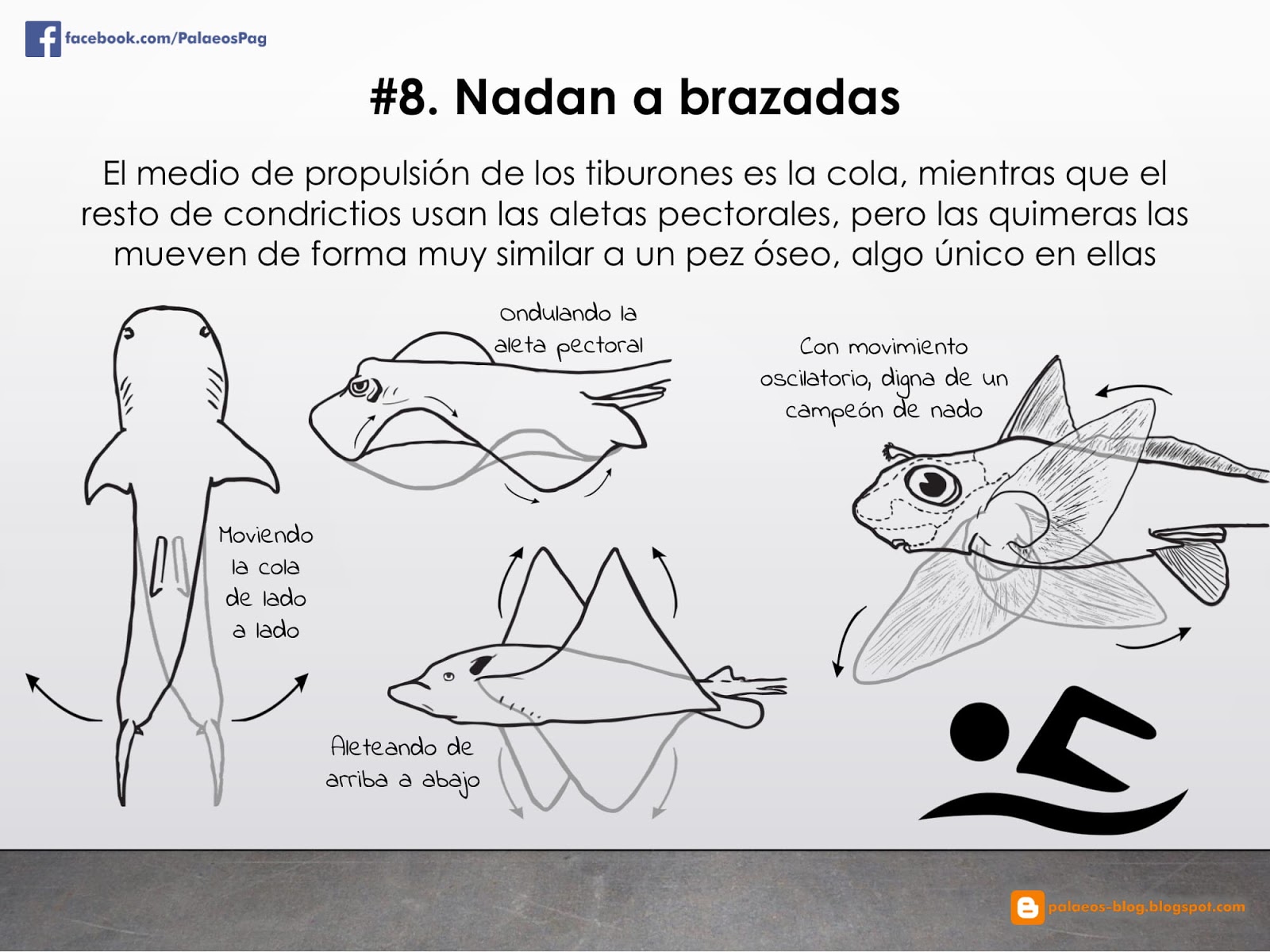 Palaeos, la historia de la Vida en la Tierra: 10 hechos sobre quimeras ...