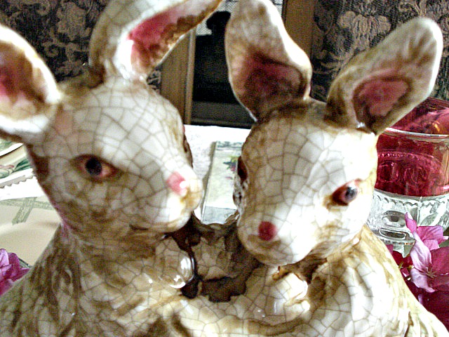 NANA DIANA TAKES A BREAK