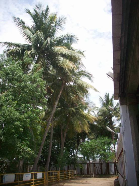 Ponneri Agastheeswarar Temple (Thiruvallur - Tamil Nadu) | My ...