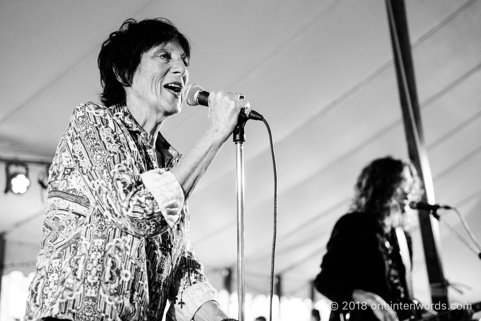 one in ten words: Riverfest Elora 2018: Day 3: Carole Pope (Rough Trade ...