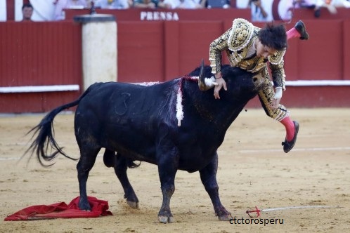 CIRCULO TAURINO DEL CENTRO: ANDRES ROCA REY EN LA UCI 48 HORAS