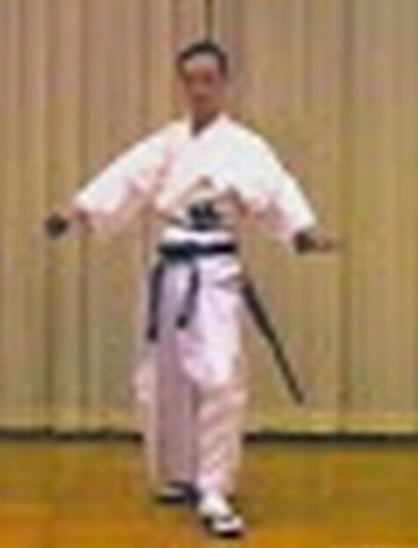 HOW TO SAMURAI DANCE （侍ダンスの踊り方入門）: 2017