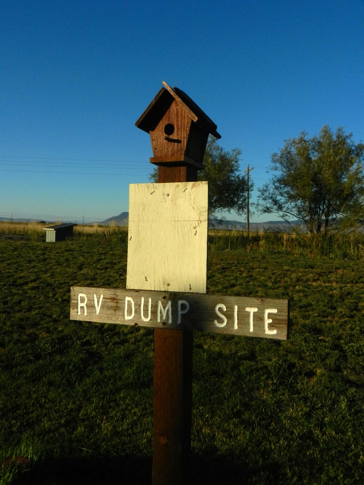 Cat Patches: LaGrande, Oregon