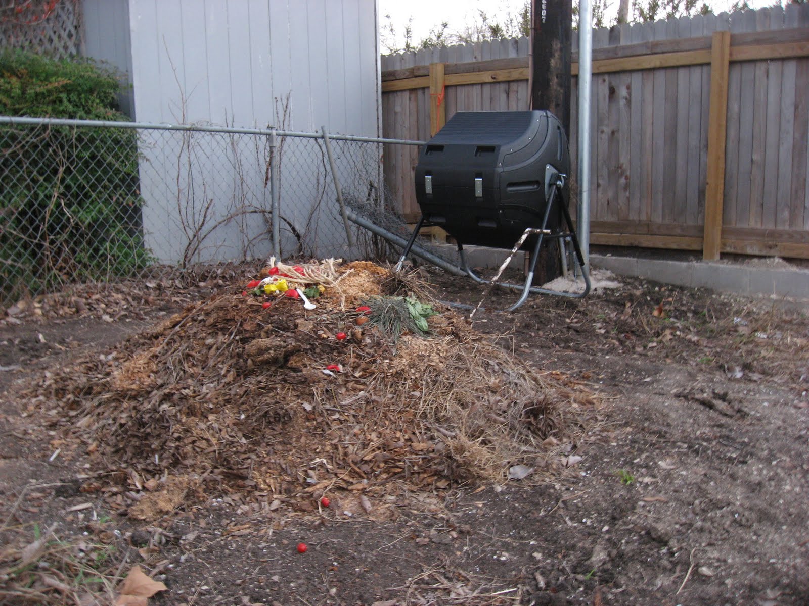 Green House, Good Life: Earth Day