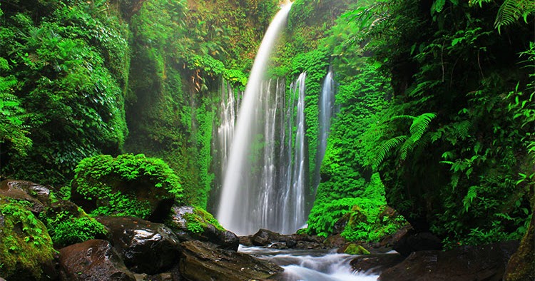 5 Air Terjun Di Lombok Yang Paling Indah Dan Keren - obyek wisata