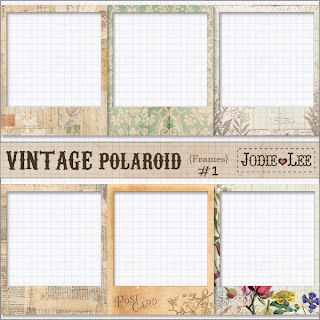 Jodie Lee Designs: New Digital Product: Vintage Polaroid Blog/Photo Frames