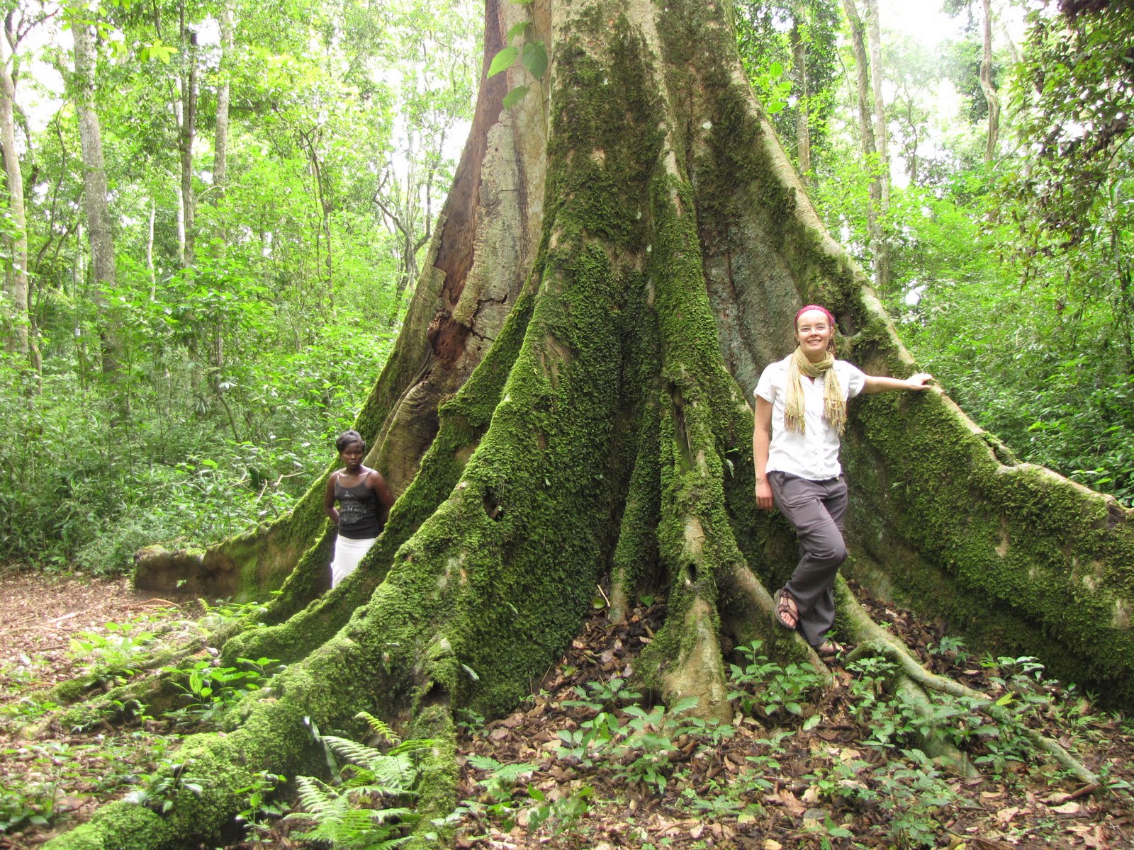 Uganda Midwifery 2011: Fire ants, drums and dusty roads