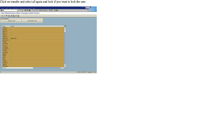 key2sap: Mass User Administration(SU10)