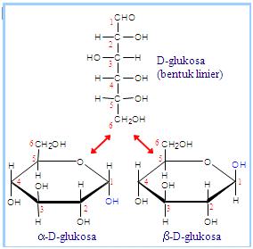 STRUKTUR KONFORMASI GLUKOSA - Agus Nurul Komarudin