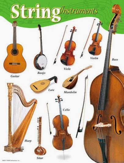 Science Projects: Sound and hearing