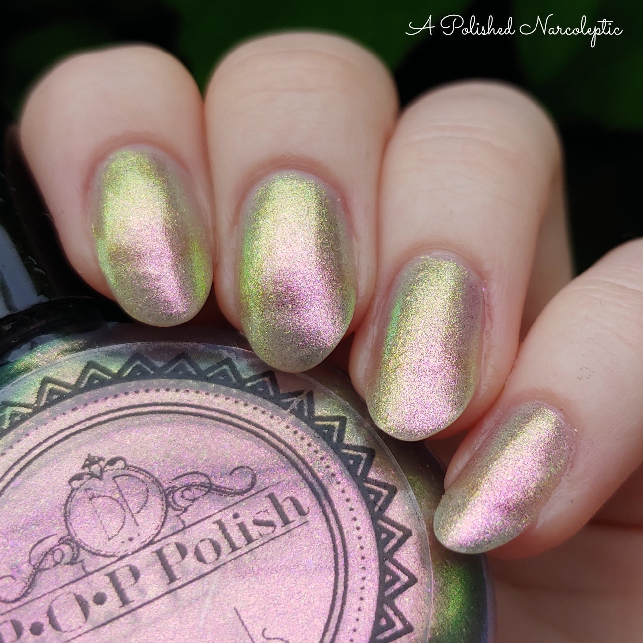 P.O.P Polish, Pastel Multichrome Oil Slick Collection - A Polished ...