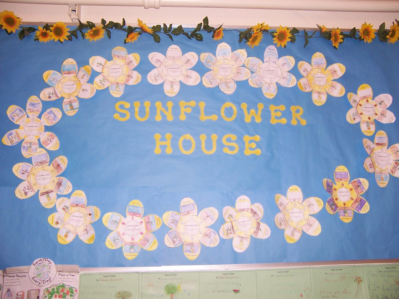 Mrs. Gillen's Kindergarten: Sunflower Bulletin Board