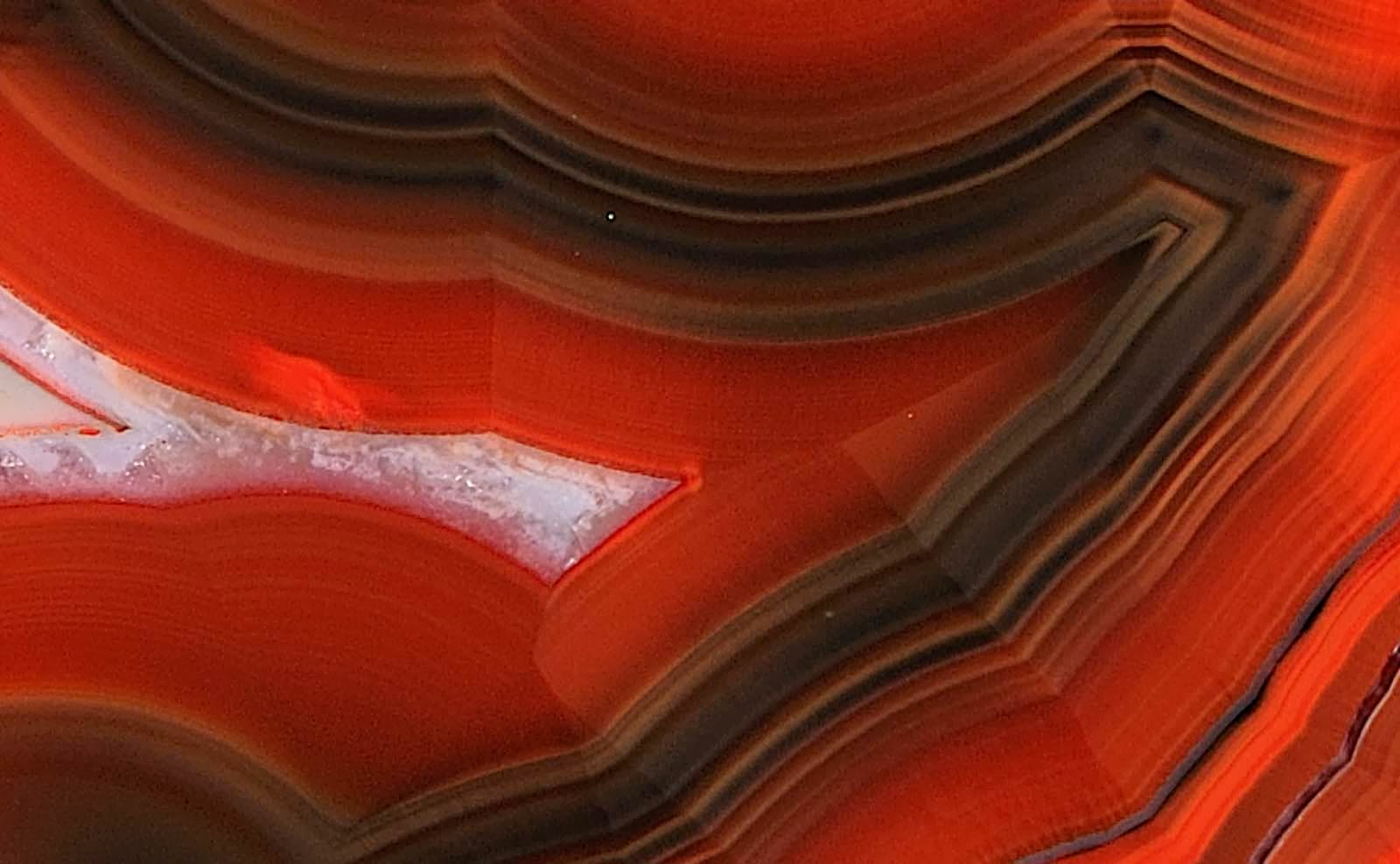 The Agatelady: Adventures and Events: More Close Up Agate Photos