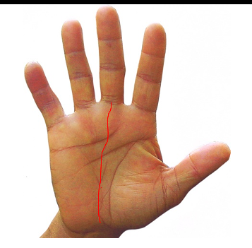 Fate line in palmistry by abhishek bhatnagar palmistry - Abhishek Bhatnagar