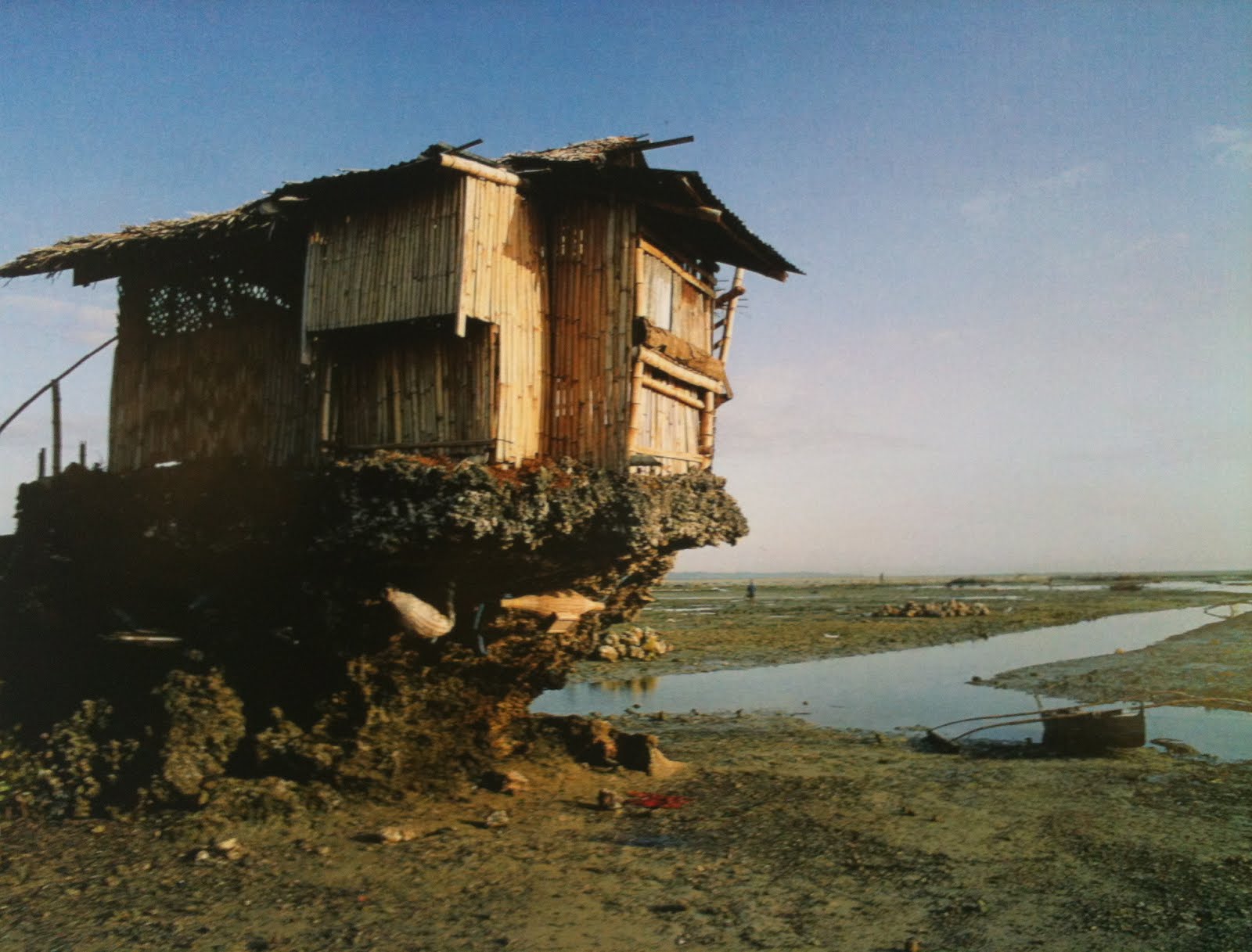 kacie michele leisure: Visual Explorer Exercise