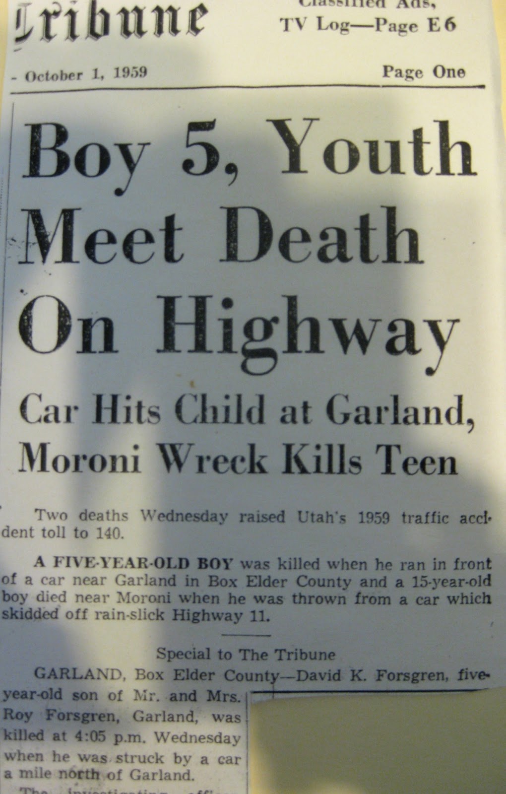 Forsgren, Peter Adolph & Descendants