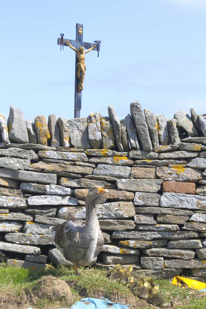 Transalpine Redemptorists at home: New Life on Papa Stronsay