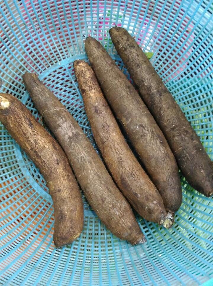 Peng's Kitchen: Baked Tapioca Cake (Kueh Bingka Ubi Kayu)