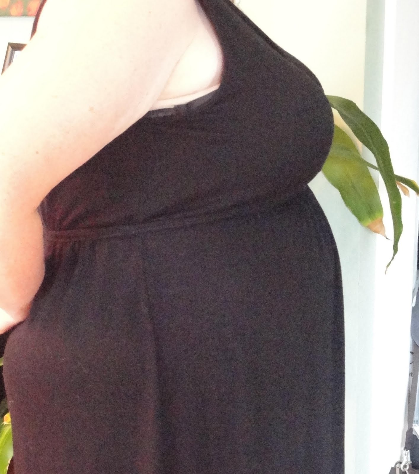 2 Birds Building a Nest: 16 week Baby Bump
