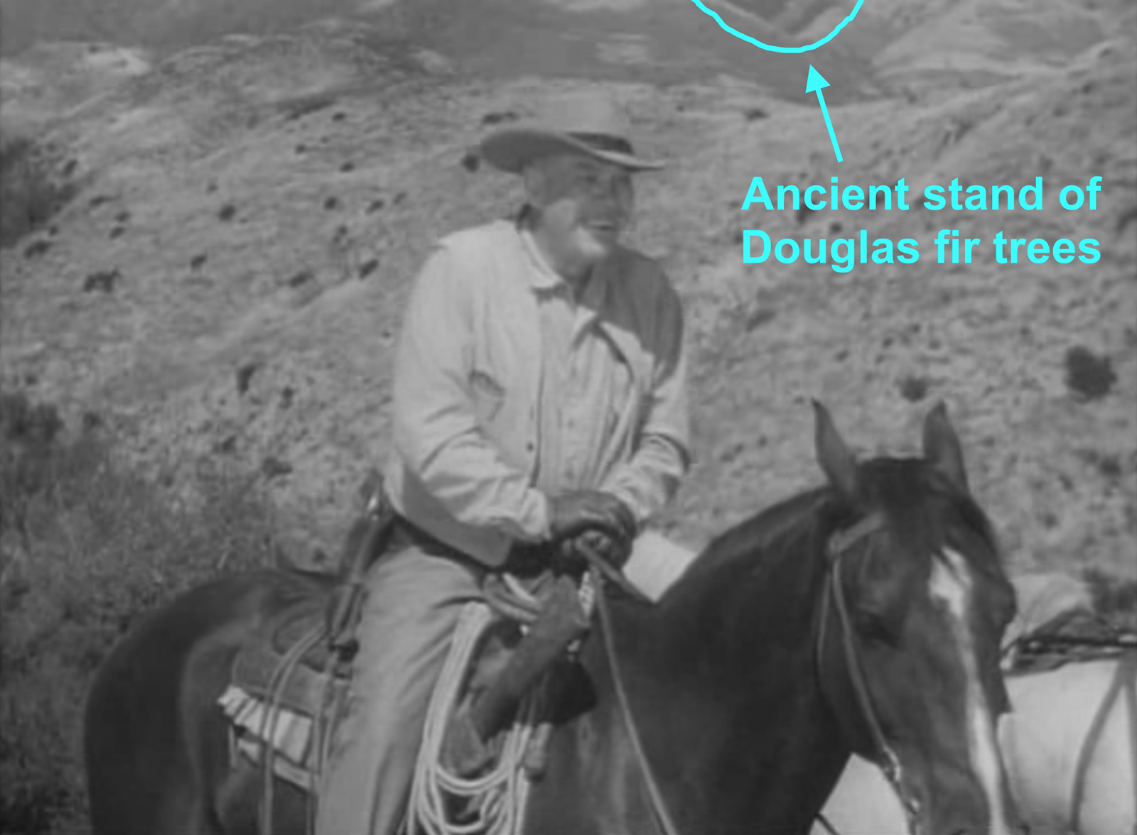 Ward Bond Wagon Train