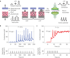 New Brain-type Device with Human-like Memorizing and Forgetting ...