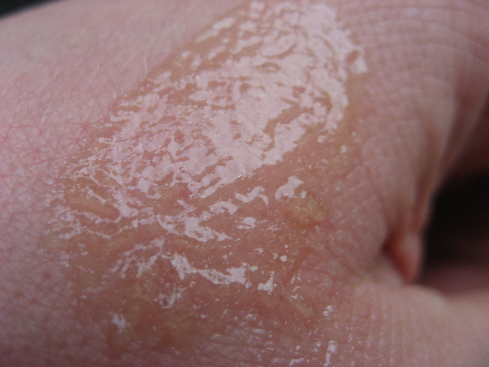 Sjena Vjetra: Wunderzeug: Silk Naturals Microdermabrasion Gel