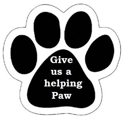 A.F.R.A NEWS: Give RAA a helping paw to help them reach Romania