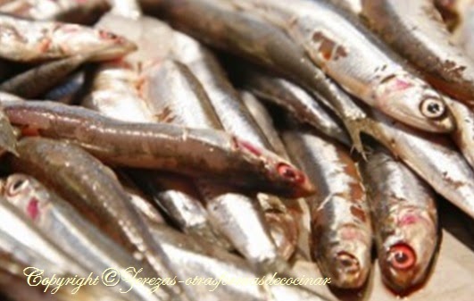 zerezas-otrasformasdecocinar: Propiedades del Boqueron