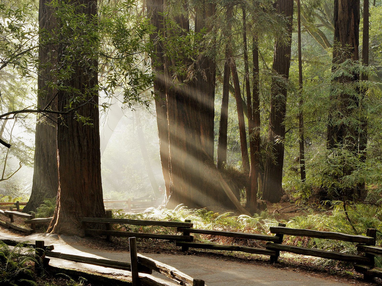 Best Wallpaper: Impressive Nature Wallpapers 1600 X 1200