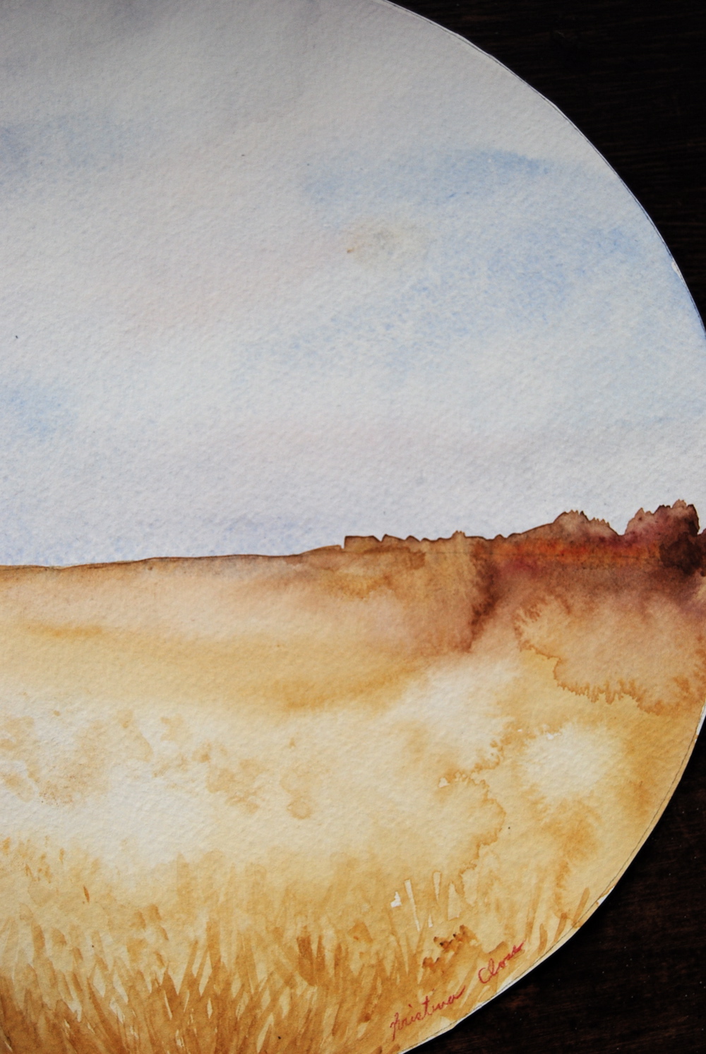 Painting in Trees: Circular Landscape