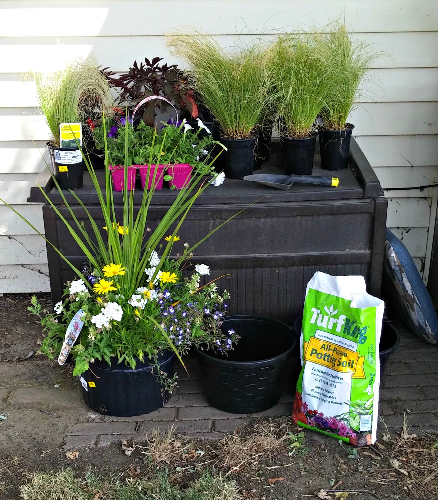 Backyard Pergola Fix-Up - Weekend Yard Work Series - Little Vintage Cottage