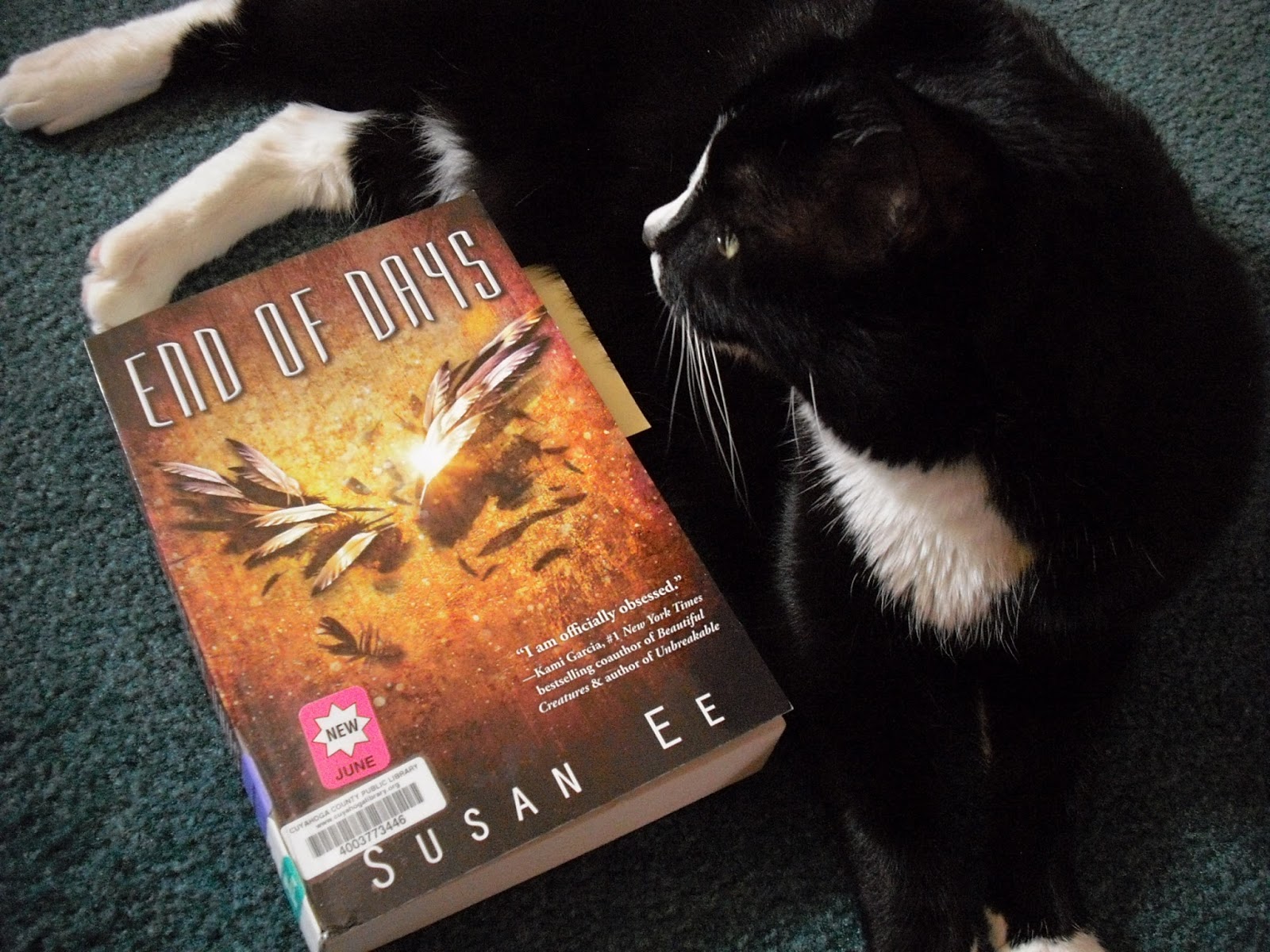 Grab A Book From Our Stack: "End of Days" by Susan Ee is a Great Finish ...