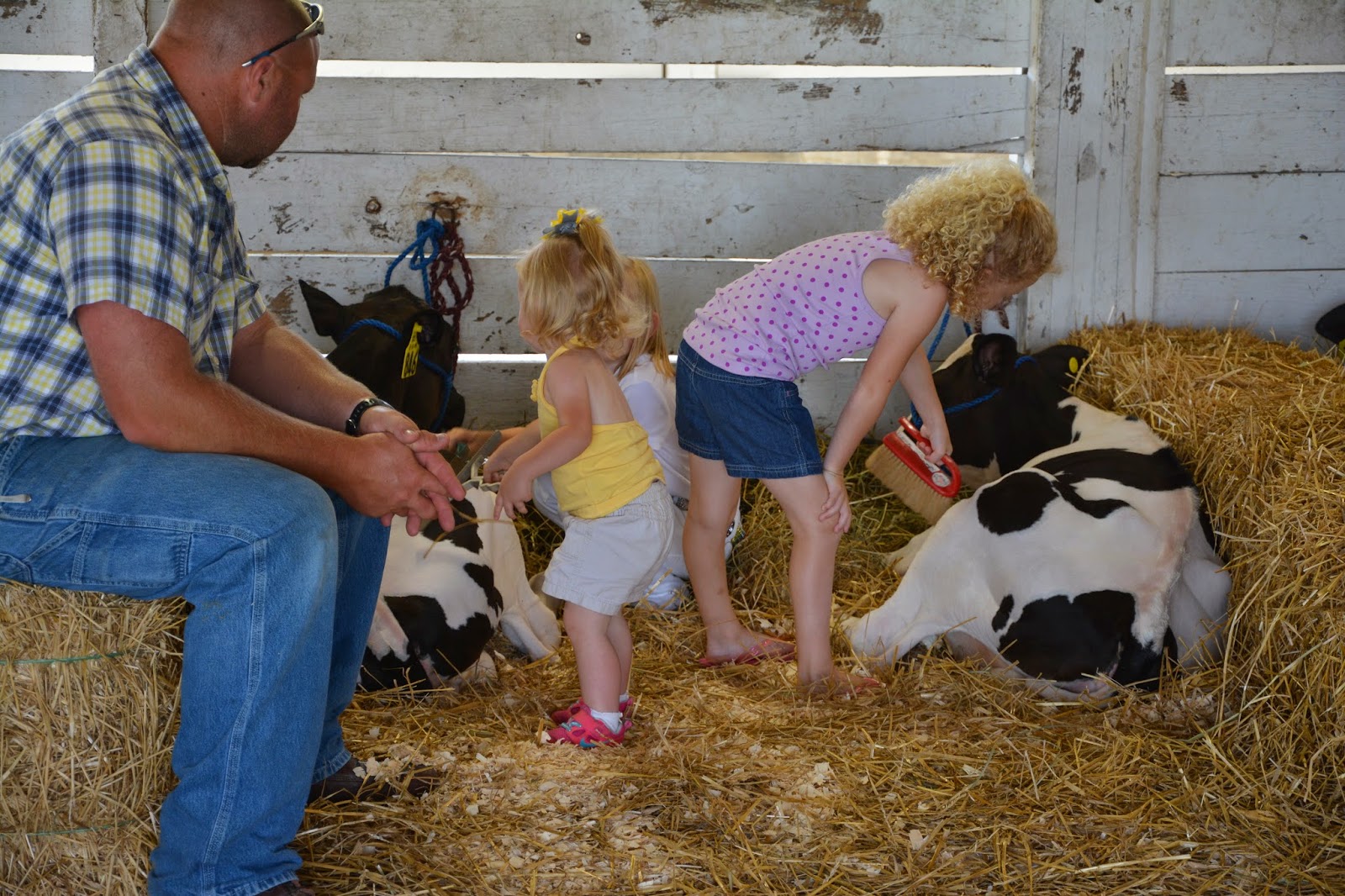 This Farm Family's Life: A Week of Fun at the County Fair...