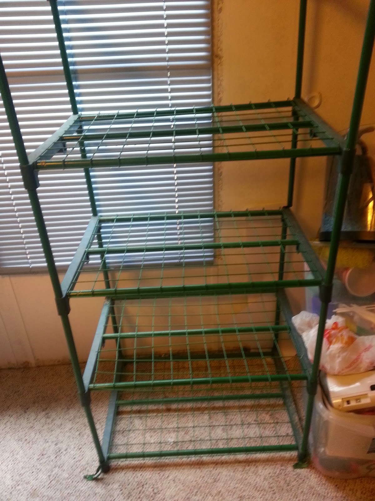 Edgington Farm: My DIY Fodder System Set-Up