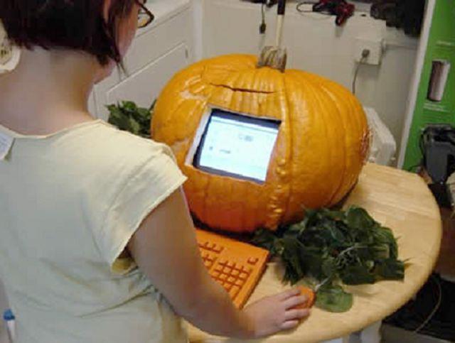 Rose Rambling: Pumpkins