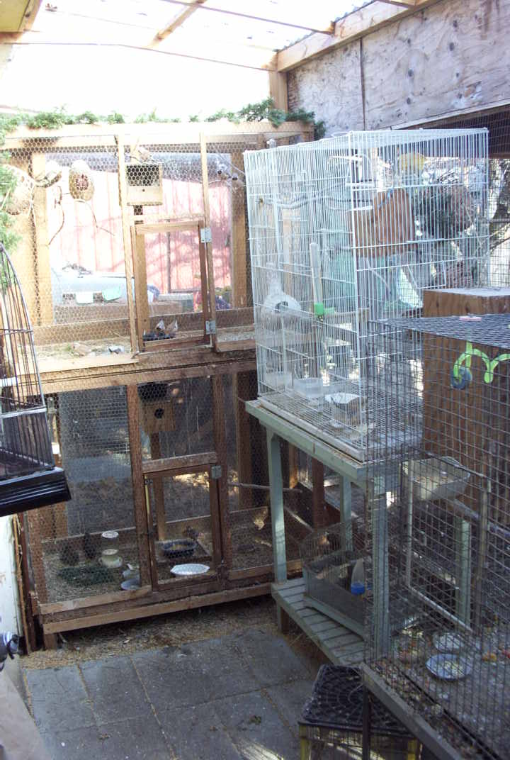 The Splendid Bourke Bird Blog: Bird Aviaries, Outdoor and Indoor