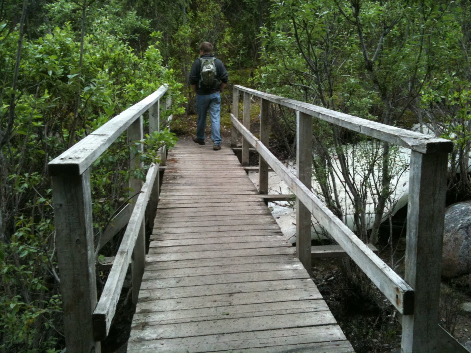Homemade Alaska: A Family Hike