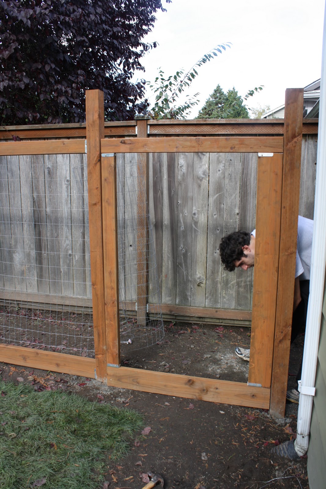 Domestically Dobson: Dog Run Fun