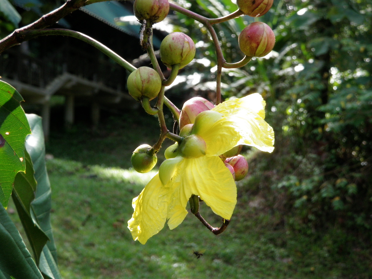 Travel Log: 2011 - Brunei