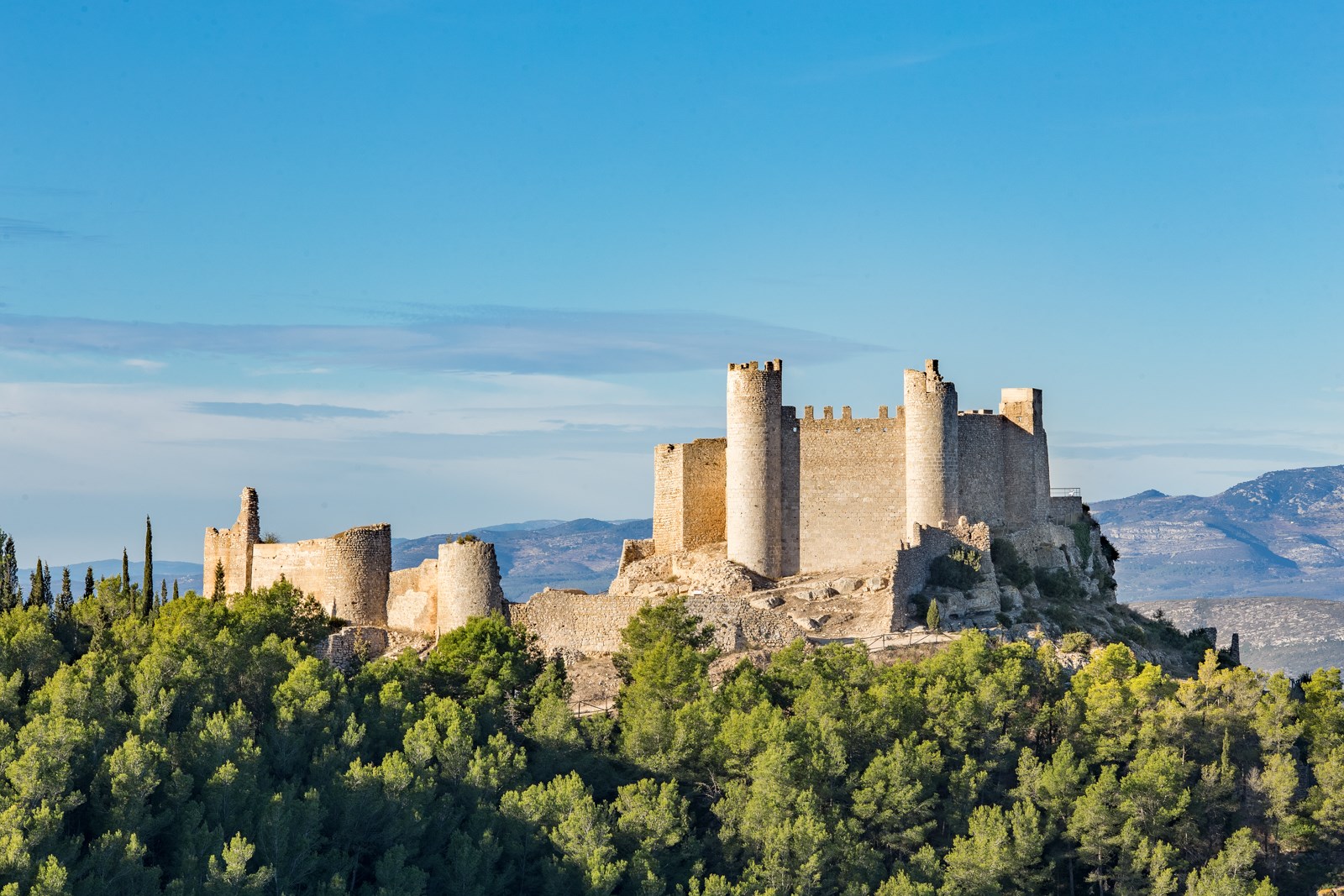 (EN) Nippon Bonsai Sakka Kyookai Europe-España: Sakka Ten 2018: Alcalà ...