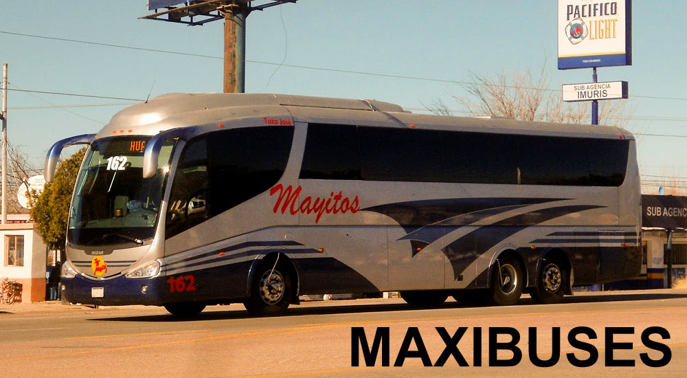 MAXIBUSES: AUTOBUSES LOS MAYITOS