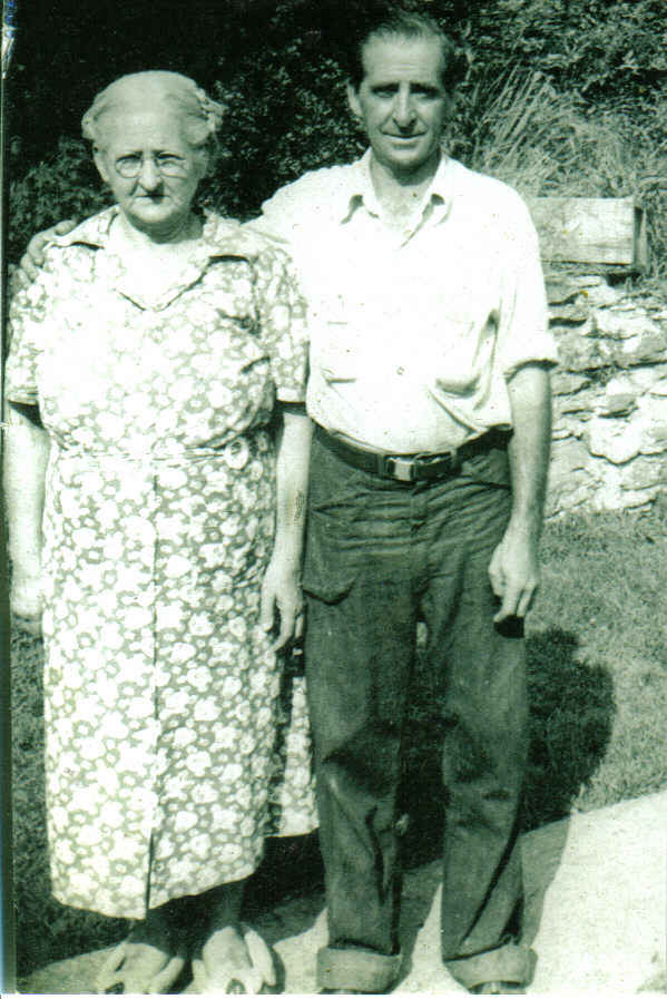 Jarvis Family Stories