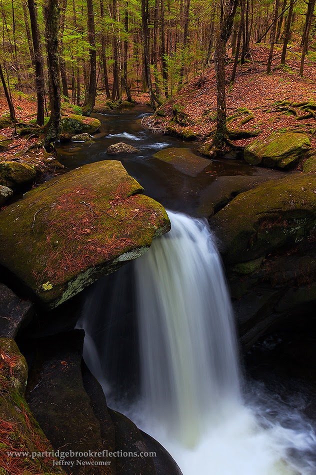 Getting it Right in the Digital Camera : Pulpit Falls (Finally)